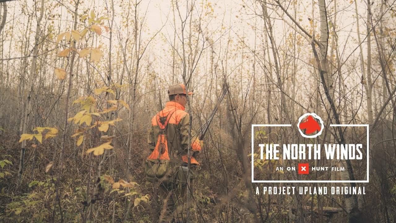 How to Self-Film Your Bird Hunting Videos - Project Upland