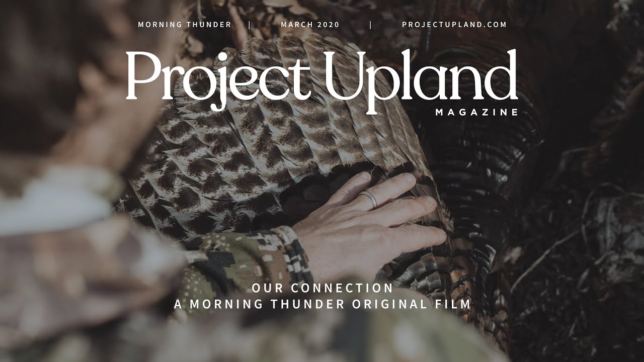 Video thumbnail for youtube video thxe82_gbgy - Project Upland