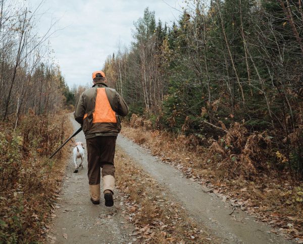A Guide to Upland Hunting in North America