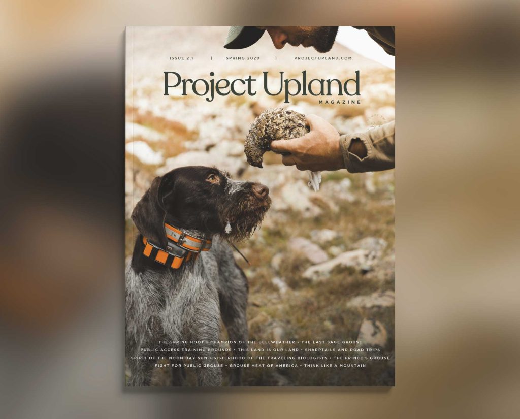 Spring 2020 #PublicGrouse Issue of Project Upland Magazine