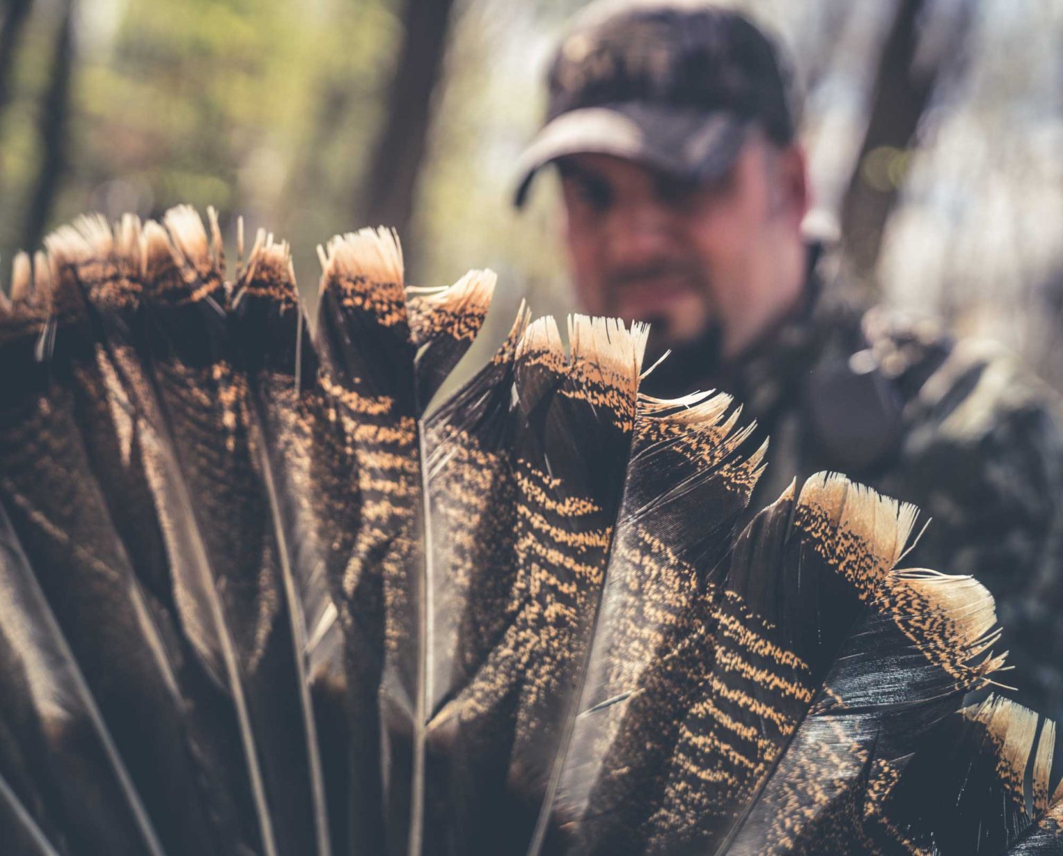 Rabbit Hunting Video with Beagles - Hunting Dog Confidential