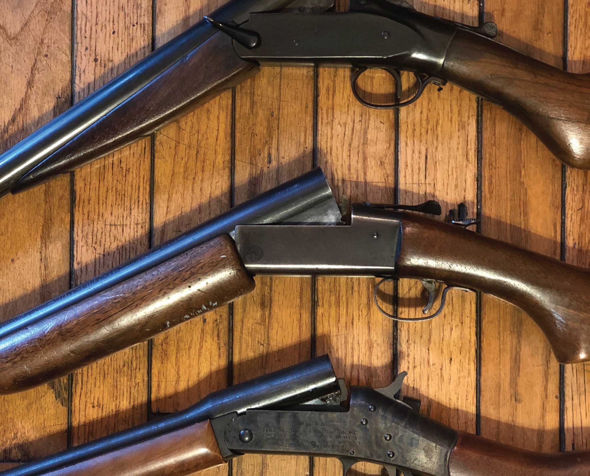 A-look-at-single-shot-shogun-models - Project Upland