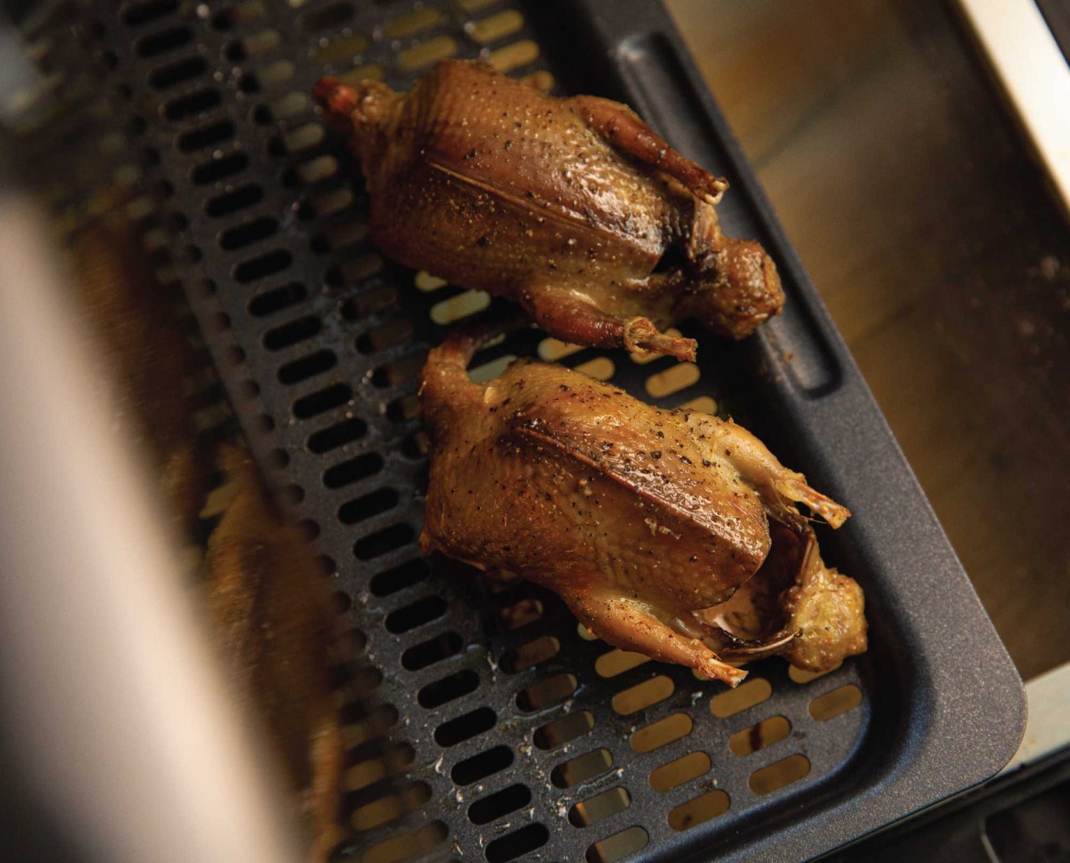 What Chokes and Shot Size to Use for Dove Hunting - Project Upland