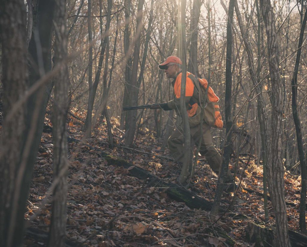 Bird Hunting in Virginia, Pheasant, Quail, Grouse, Woodcock, and More