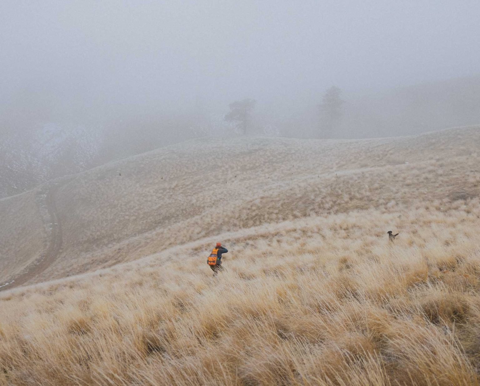 Hunting Washington for Grouse, Quail, Pheasant and Chukar