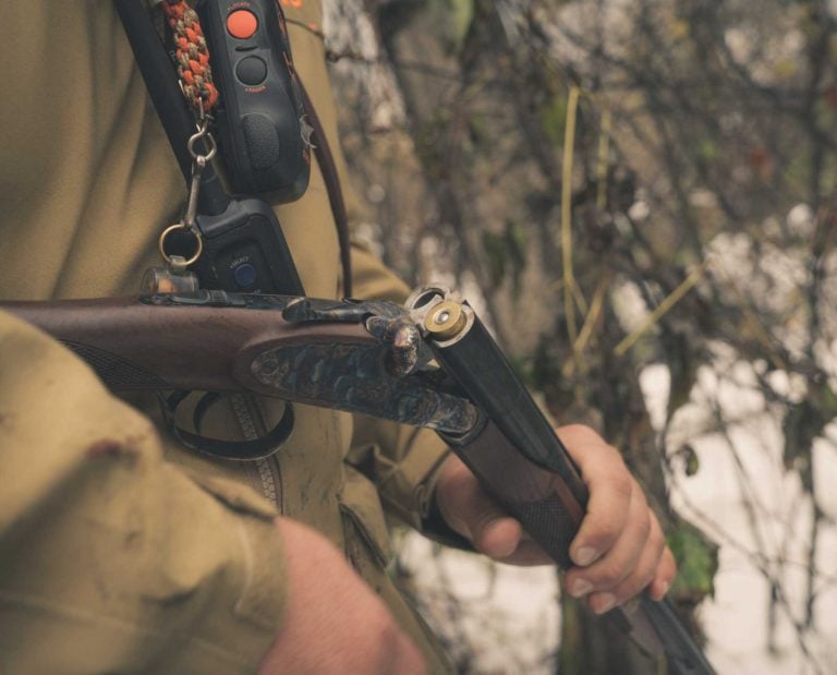 CZ Upland Ultralight - Shotgun Review - Project Upland Magazine