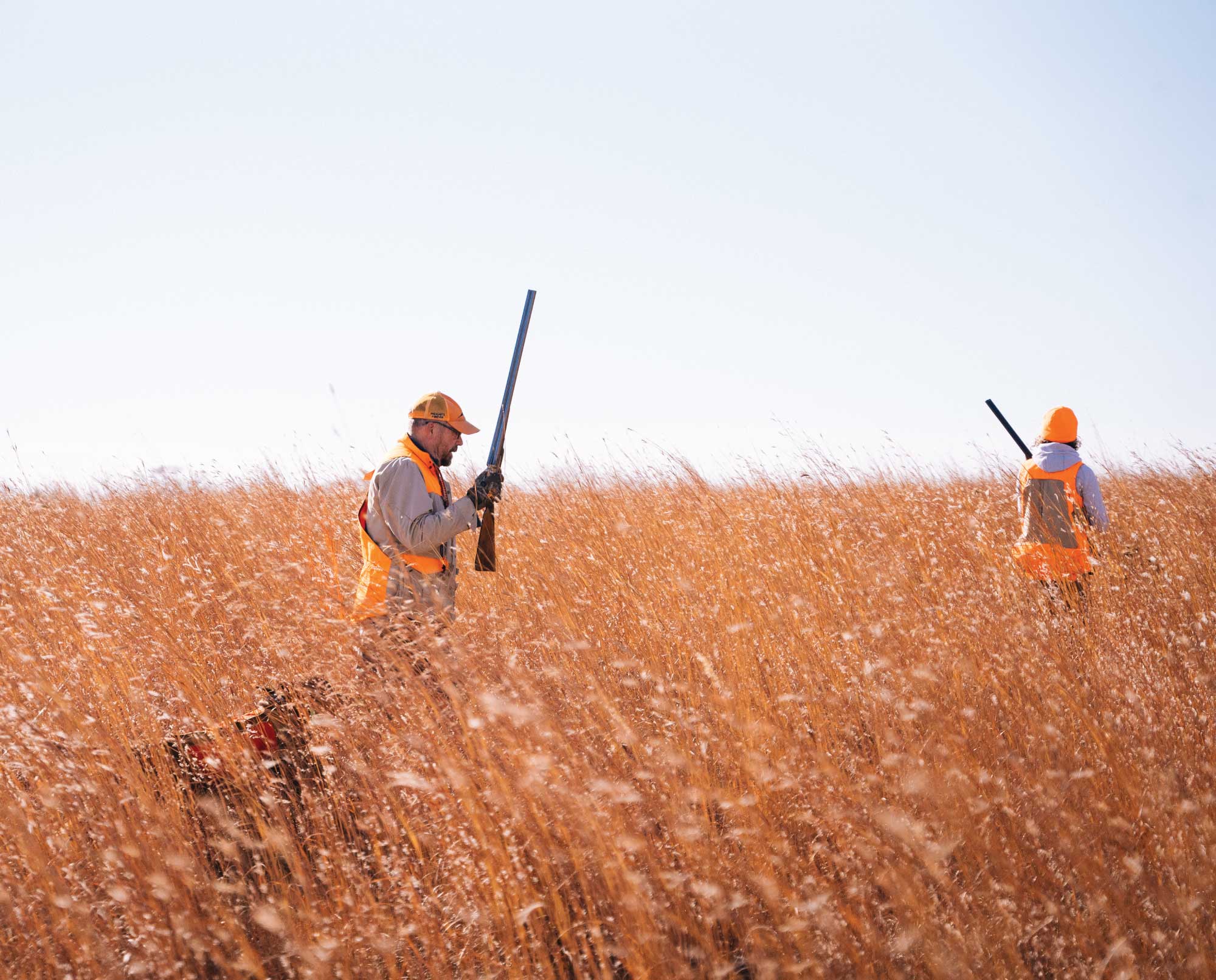 Craig Koshyk the Dog Historian of a Generation - History of Dogs
