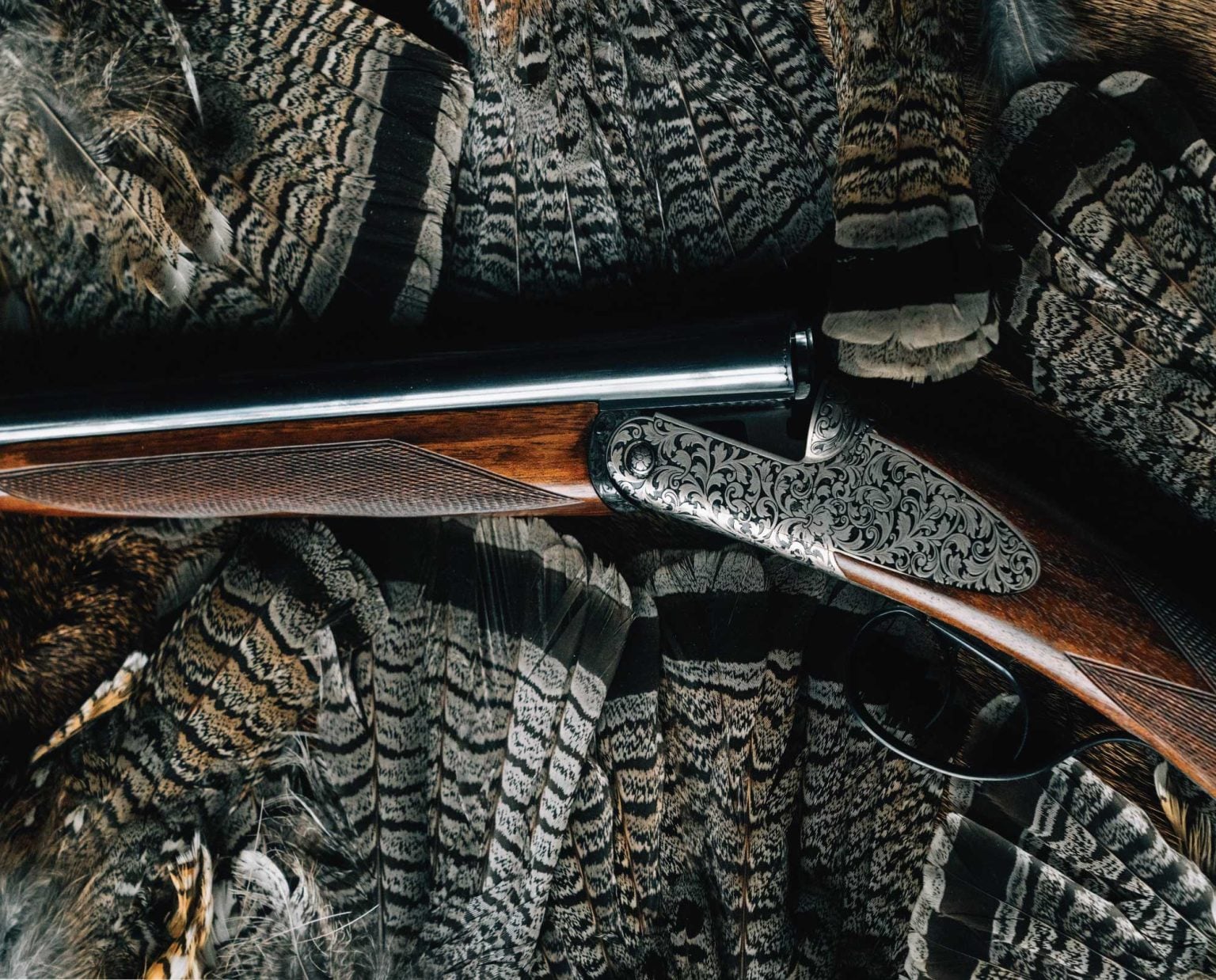 Defining-a-grouse-gun- Project Upland