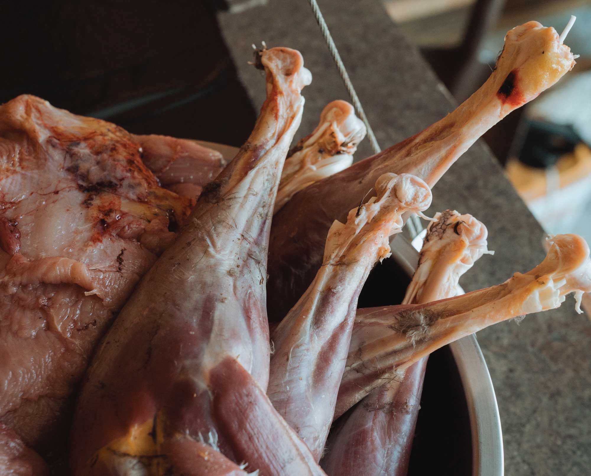 Wild Turkey Meat: Nutrition Information, Cooking Techniques, and Handling