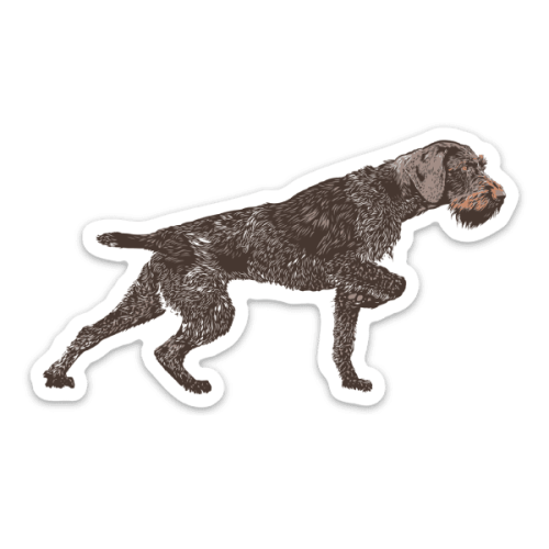 Premium Vinyl German Wirehaired Pointer Sticker