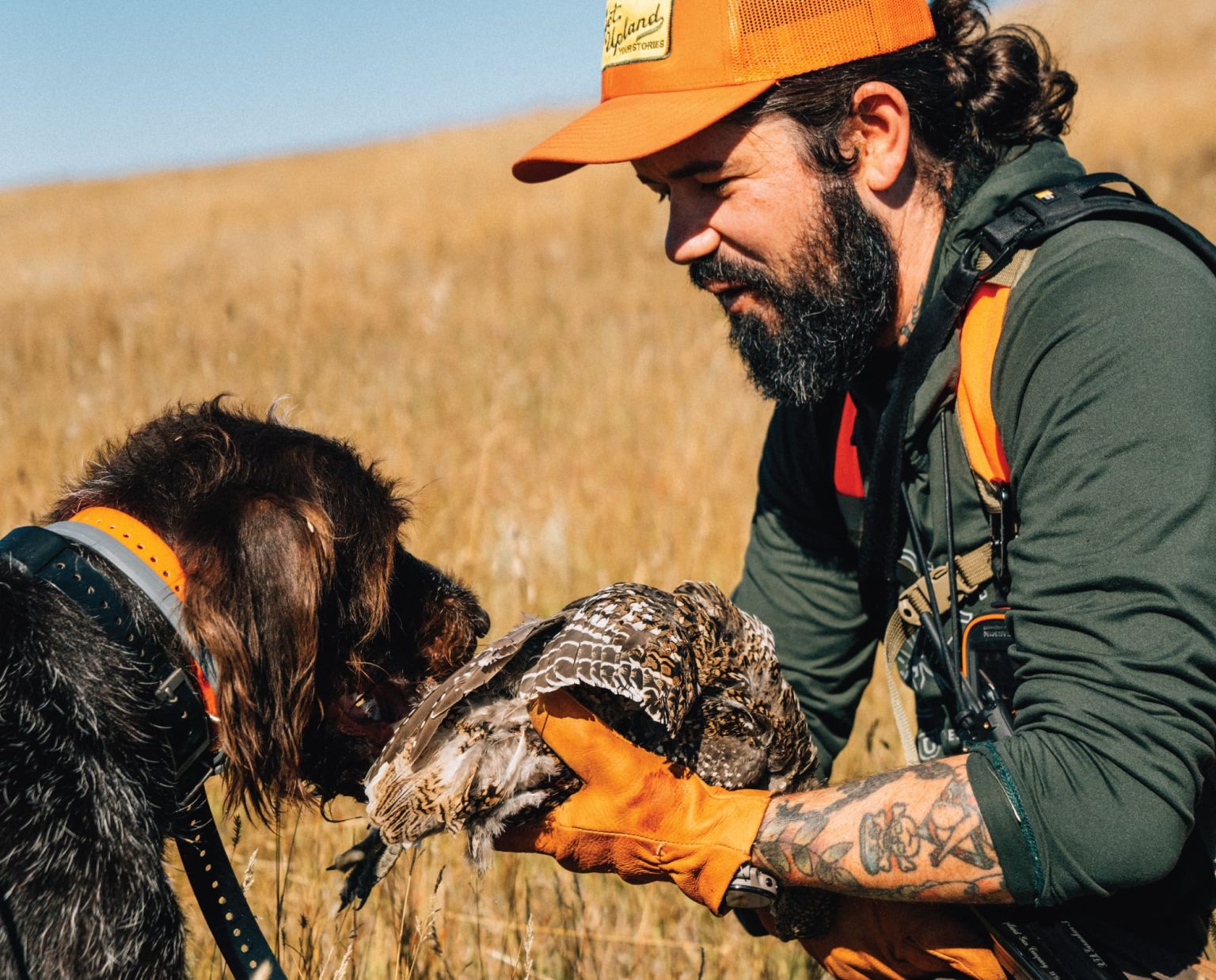 Sharptail Grouse Hunting Guide: Tips, Tactics & More