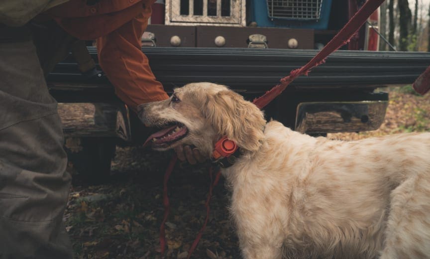 Gun-Dog-First-Aid-Kit - Project Upland