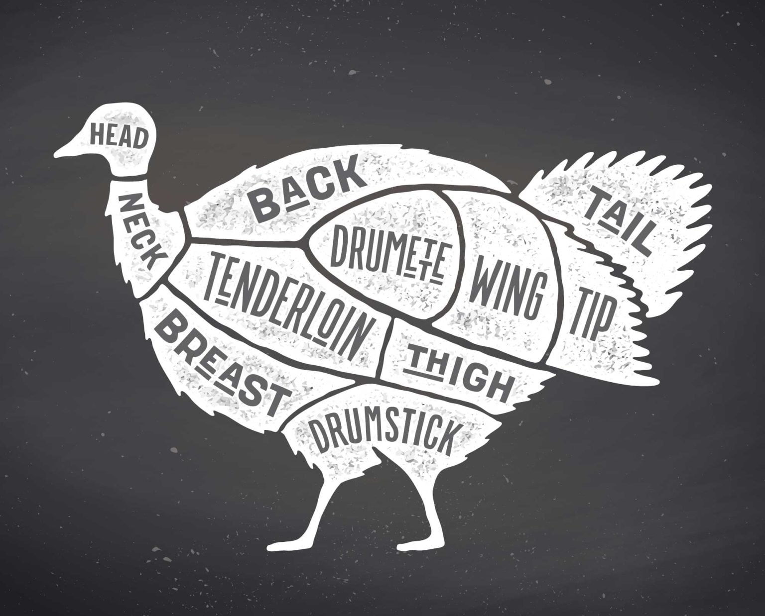 How to Butcher a Wild Turkey Step-by-Step and Chart