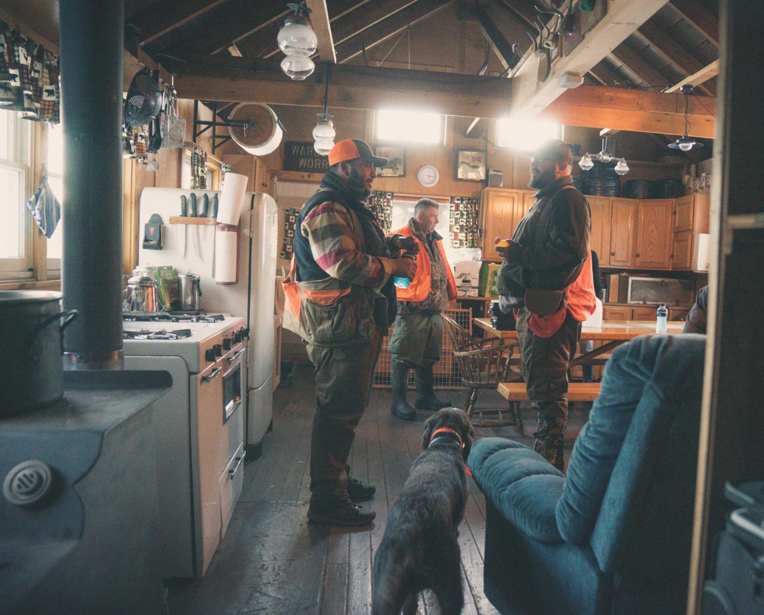 California Bird Hunting - Quail and Grouse Hunintg, Chukar, Dove