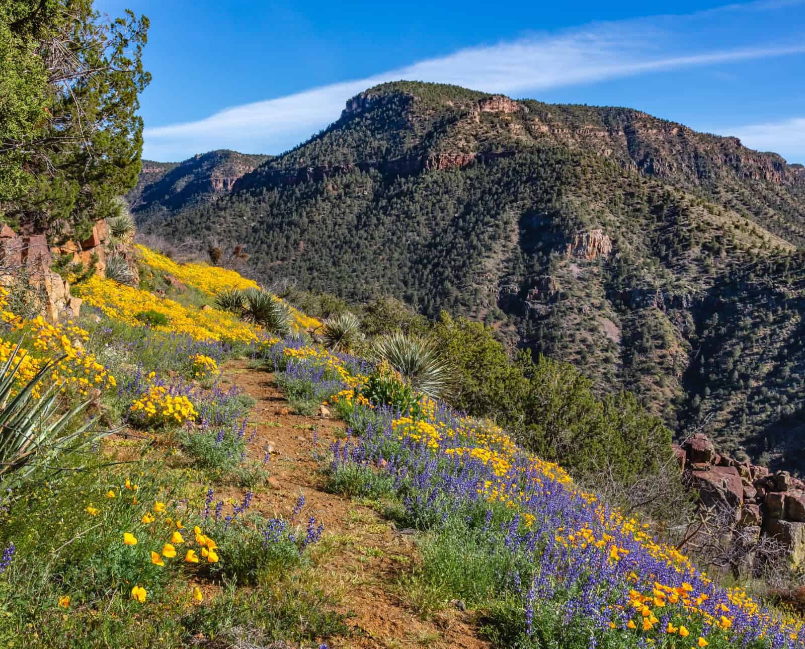 Use Social Media to Effectively Advocate for Public Lands - Project Upland