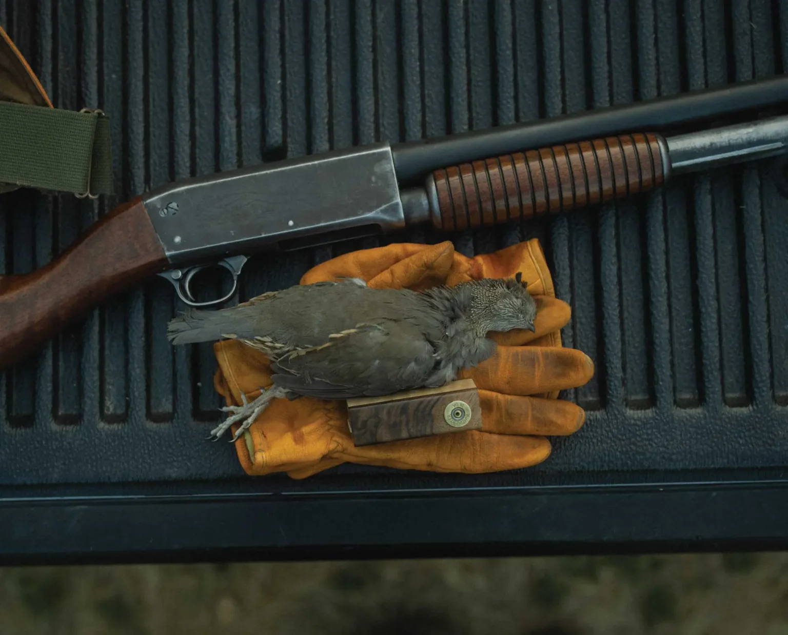 How to Roast Quail - Quick and Simple Quail Recipe