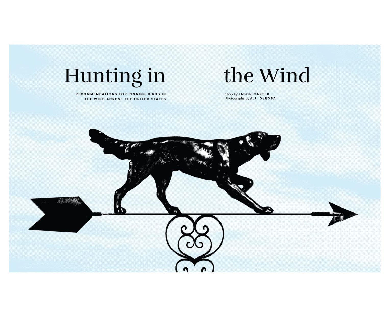 Mountain Feist, Treeing Feist - A Look at Squirrel Hunting Dogs