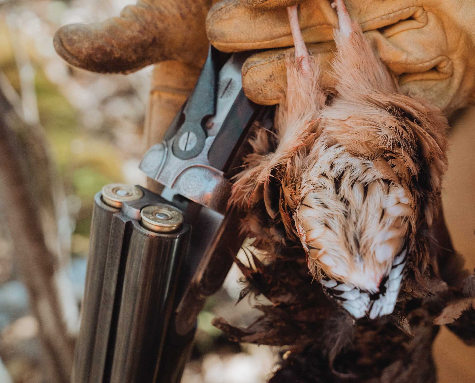 Upland Hunting Legacy - A Project Upland Original Film