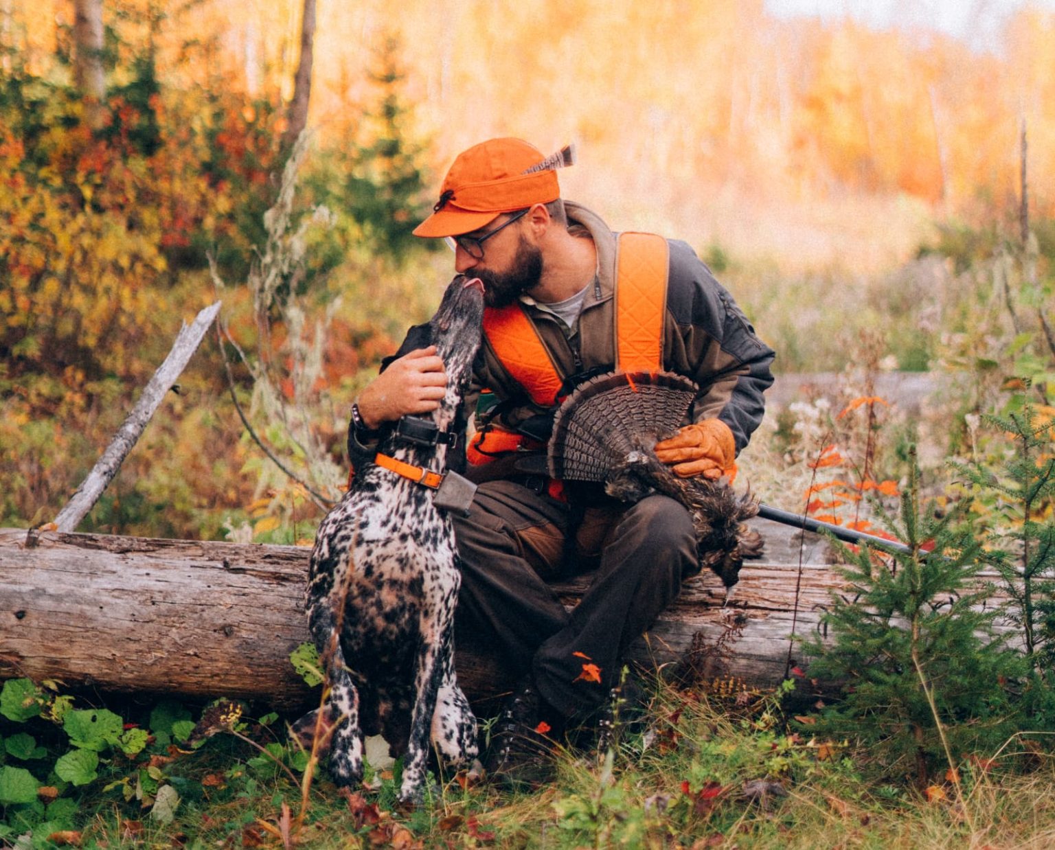Upland Bird Hunting in New Mexico: Quail, Grouse, and Doves - Project ...
