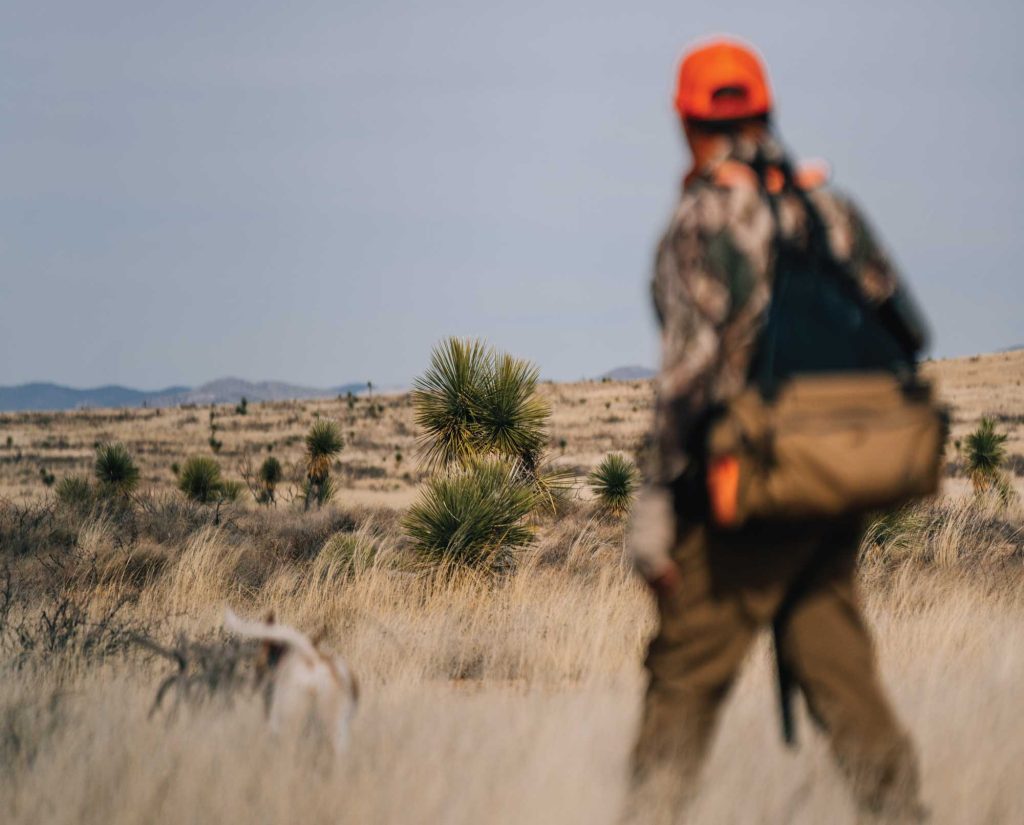 Upland Bird Hunting in New Mexico: Quail, Grouse, and Doves - Project ...