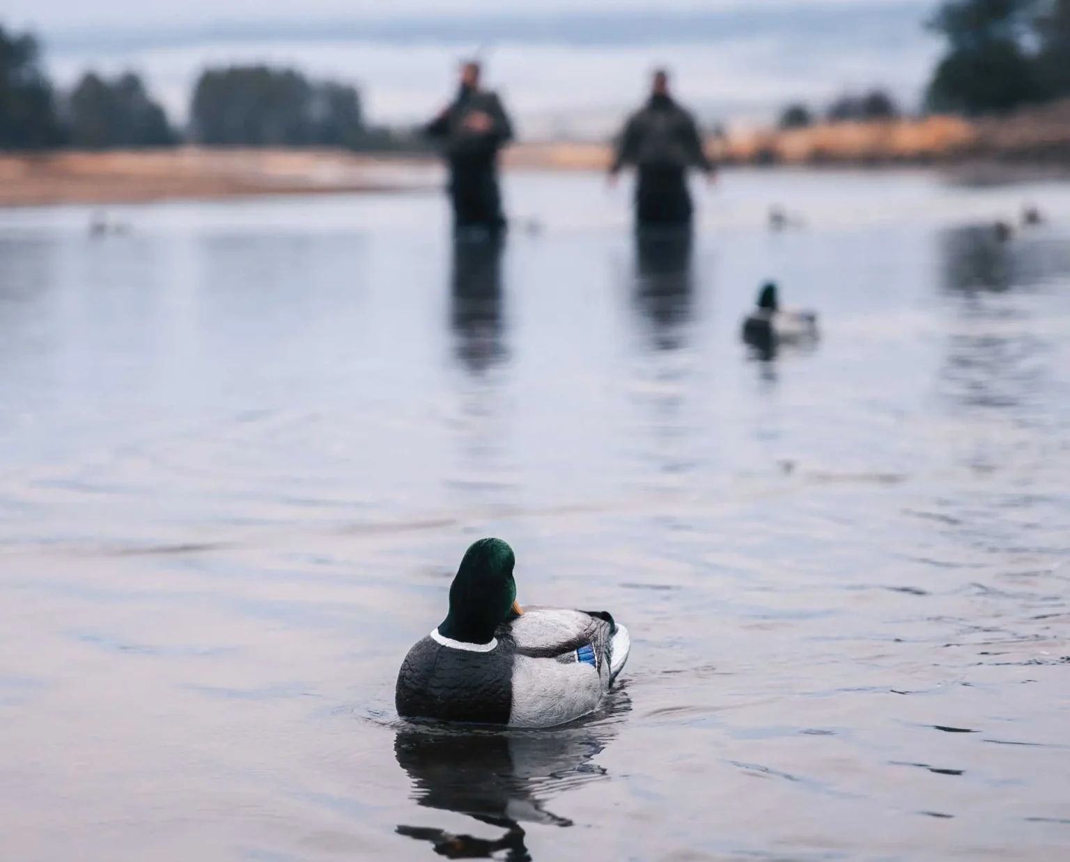 How to Set a Minimalist Duck Decoy Spread - Duck Hunting