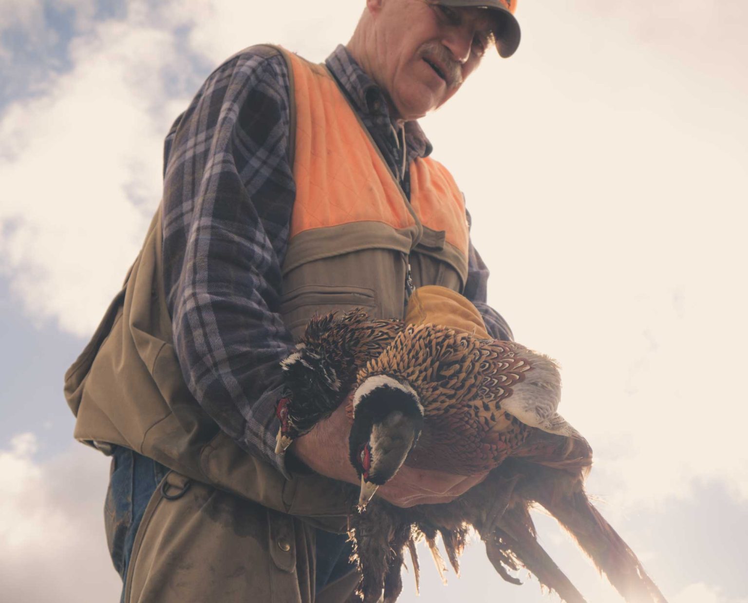 2024-25 Iowa Bird Hunting: Pheasant, Dove & Small Game