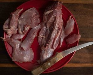 How to Dress, Butcher, and Cook Rabbits - Project Upland