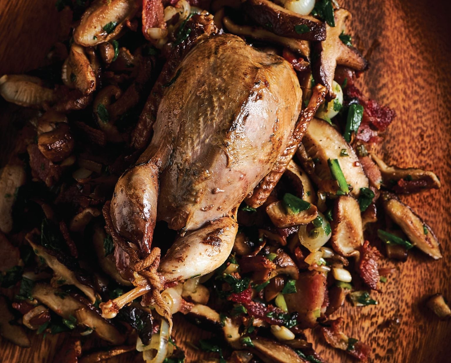 Perfectly Roasted Woodcock - Woodcock Recipes