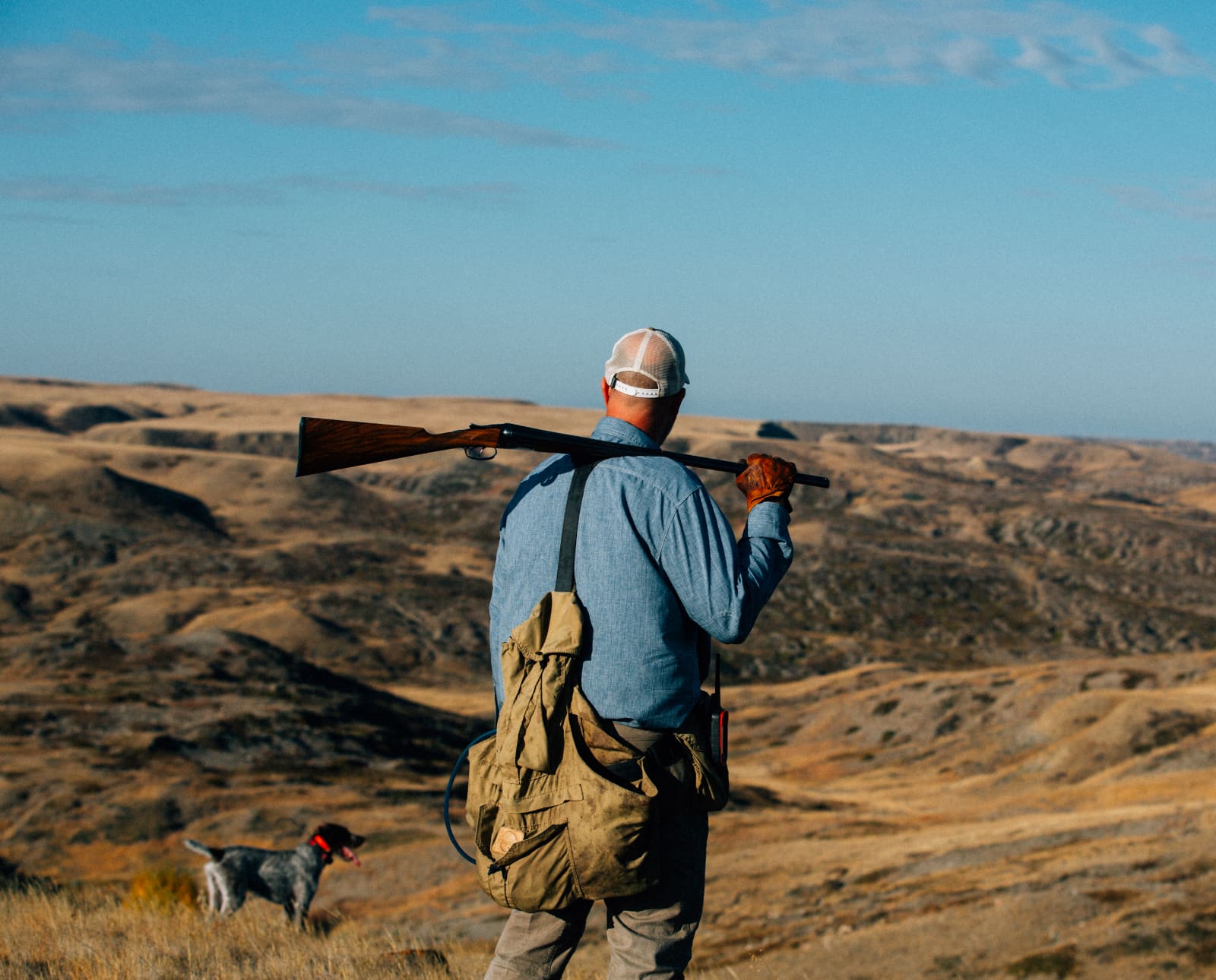 Bird Hunting in Montana 2024-25 - Seasons, Limits, and Tactics