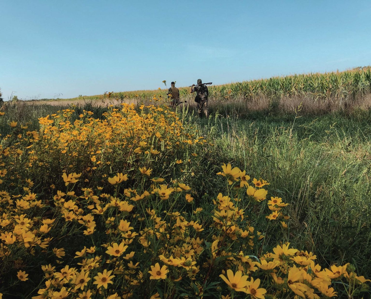 Bird Hunting in Virginia, Pheasant, Quail, Grouse, Woodcock, and More