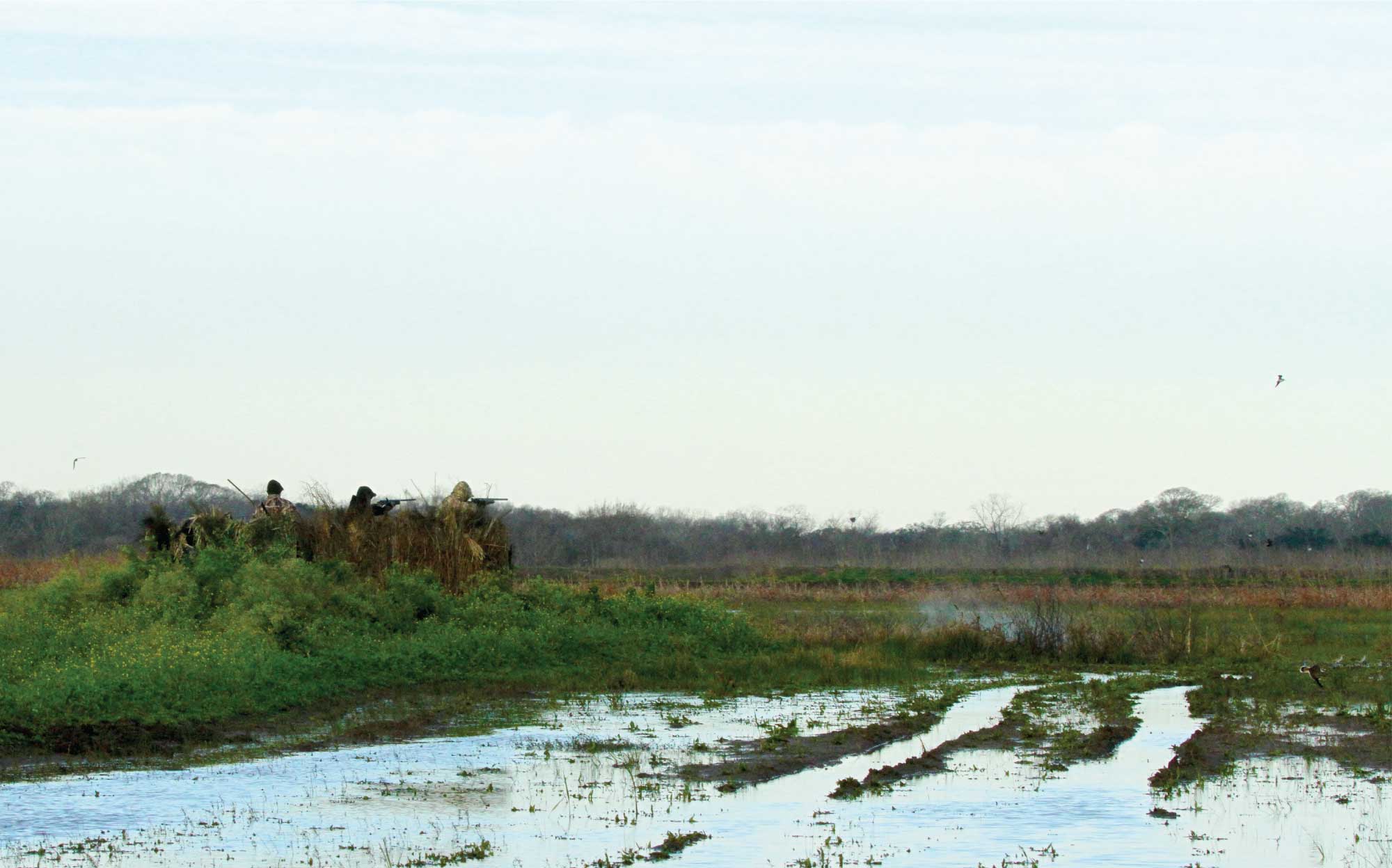 Snipe-hunters-shoot-at-snipe - Project Upland