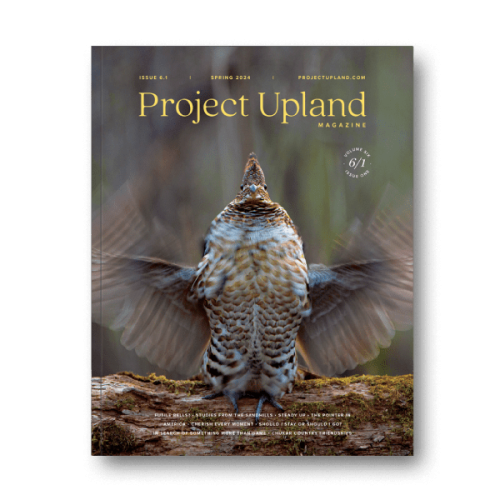 Spring 2024 of Project Upland Magazine - Volume Six, Issue One