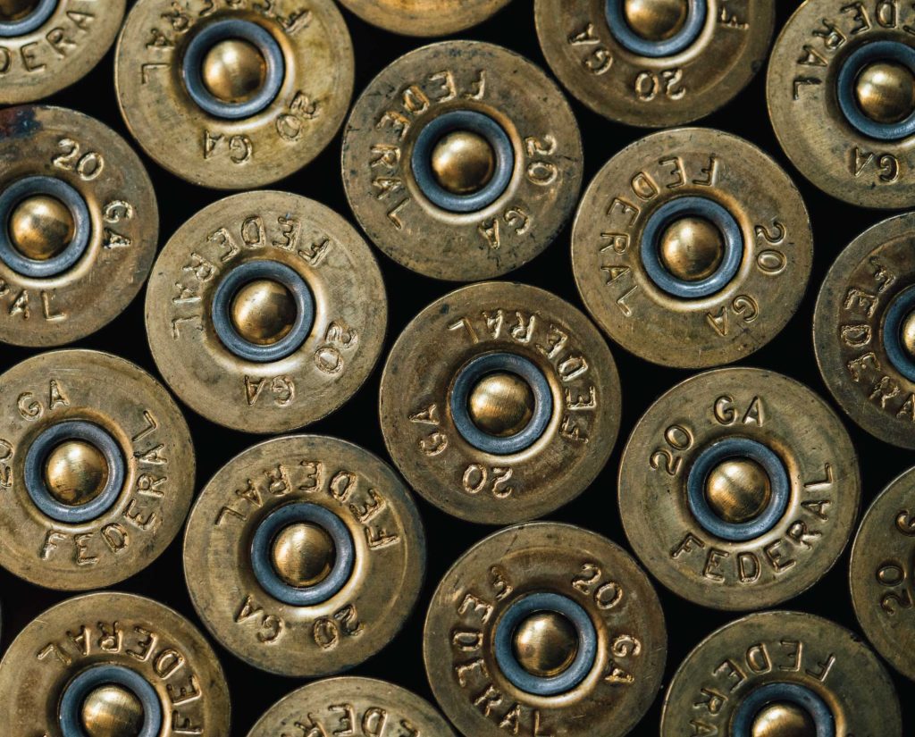 How Effective is Steel Shot? Comparing Lead to Steel