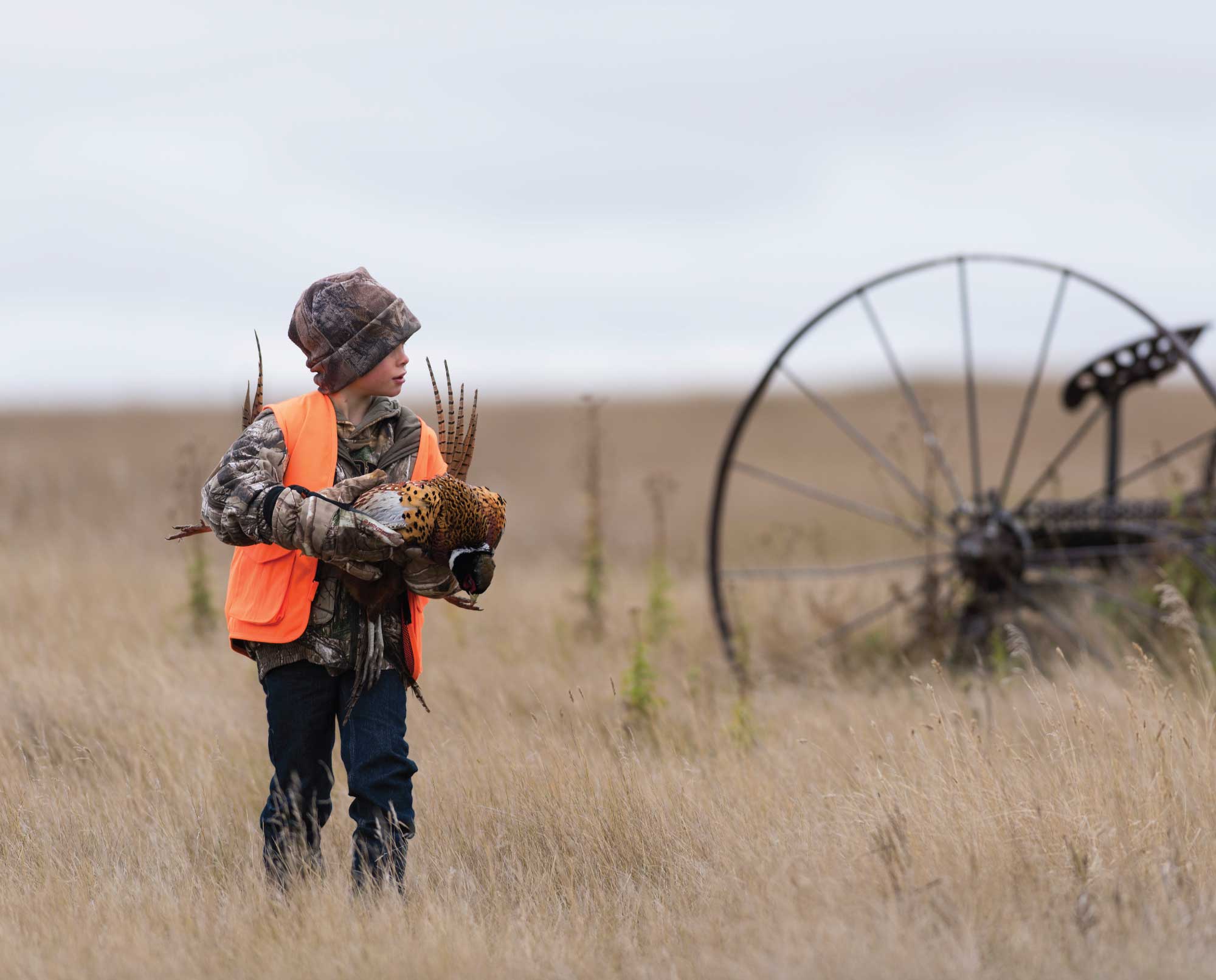 The Rites of a Pheasant Hunting Family - Project Upland Magazine