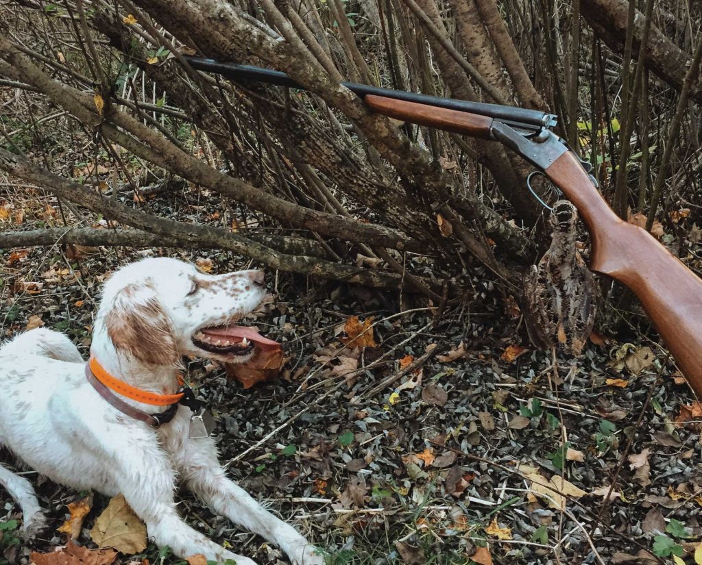 The Stevens 315 Side-by-side Shotgun, History, Cost, and Use