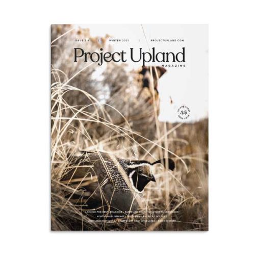 V3N4 of Project Upland Magazine Winter 2021 - Project Upland