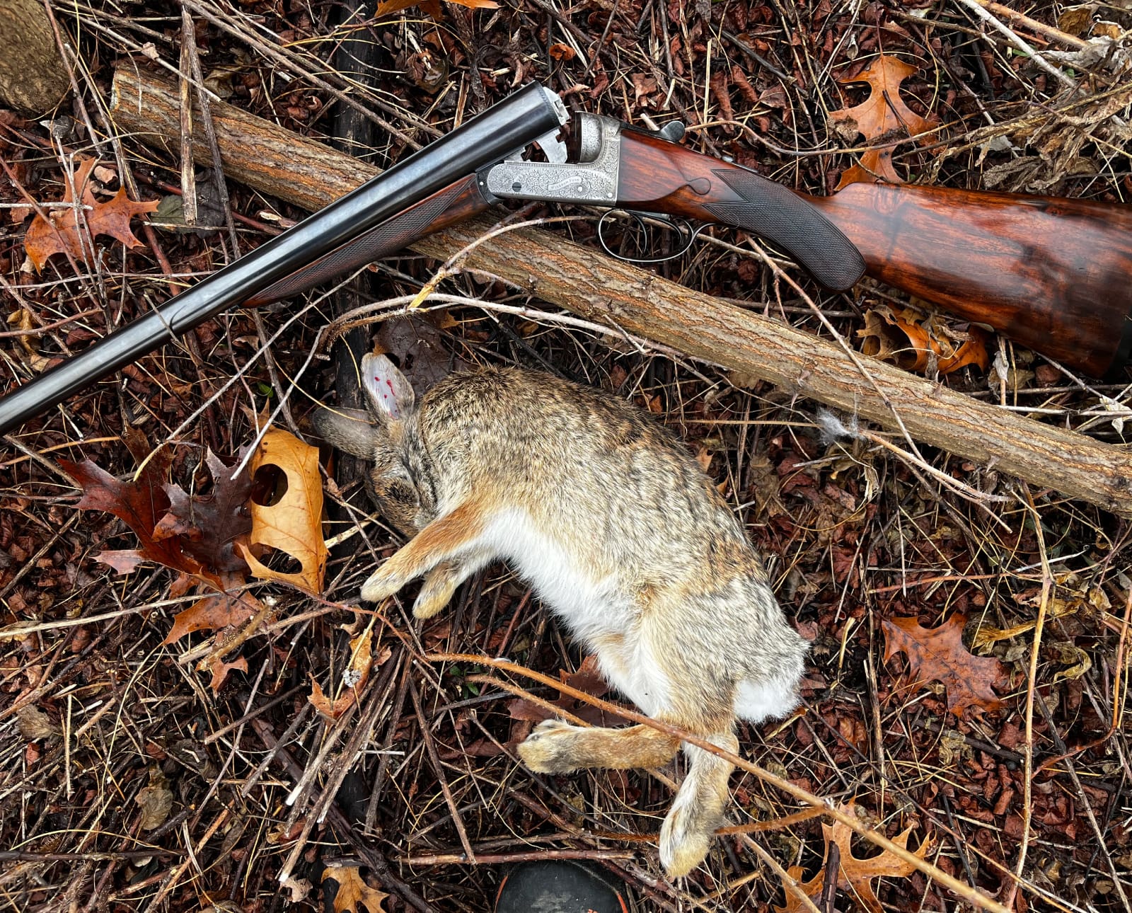Vintage-Boxlock-Shotgun-for-Rabbits - Project Upland