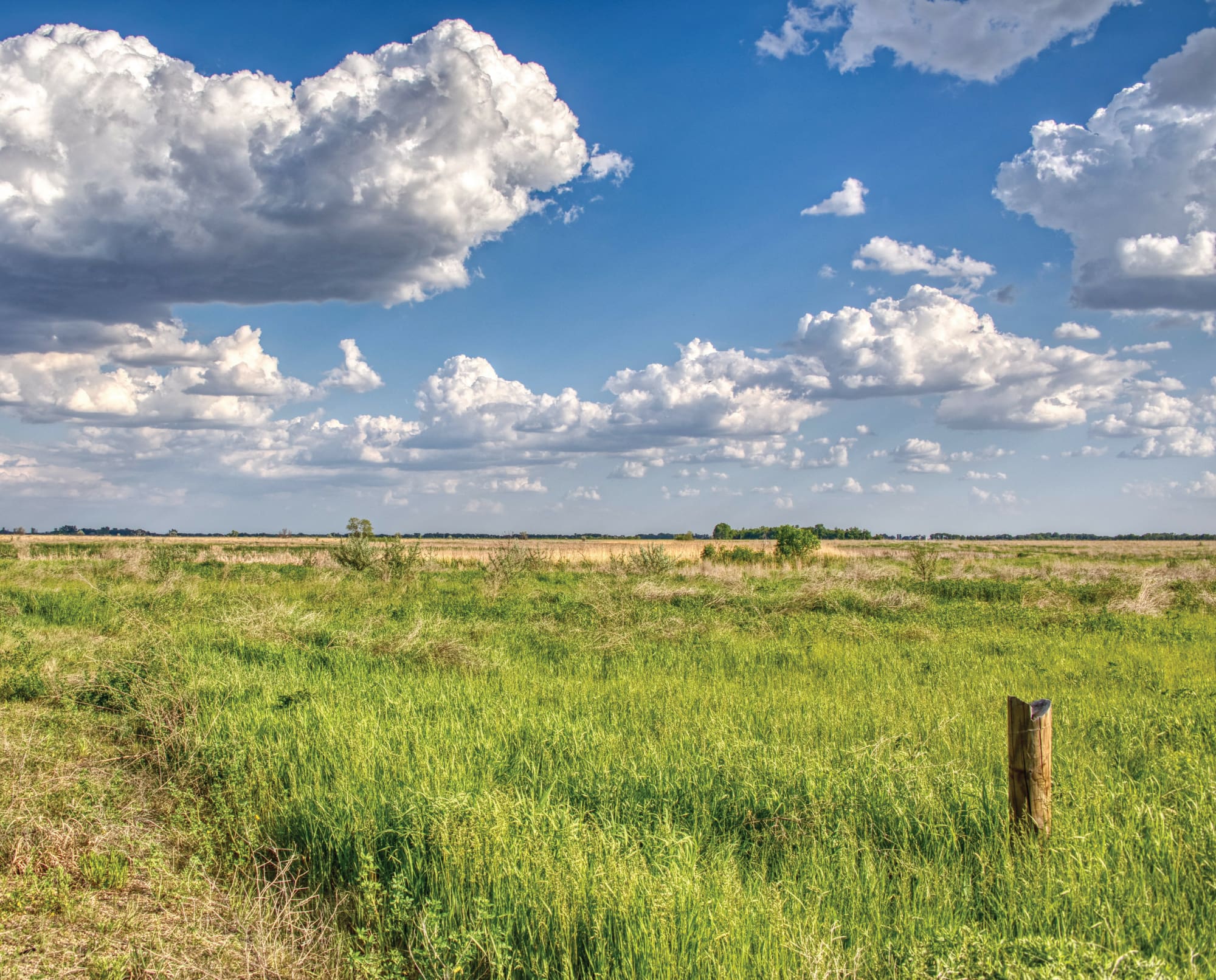 Waterfowl-Production-Area - Project Upland