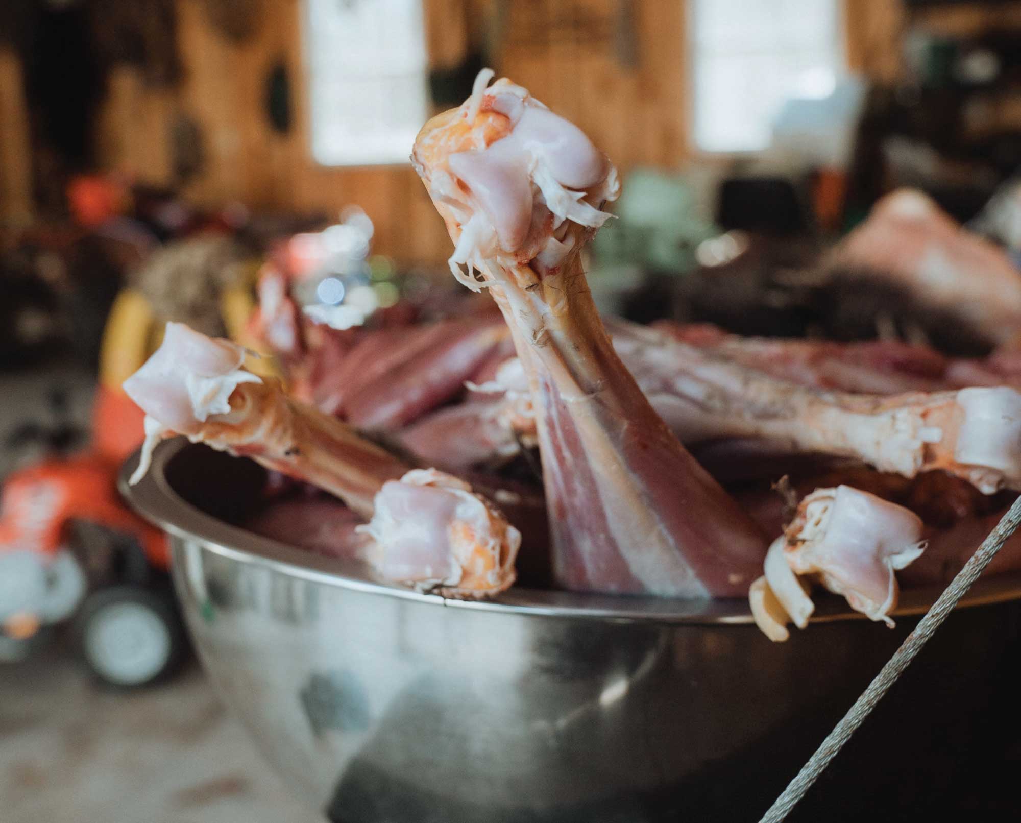 Wild-turkey-meat-in-a-bowl - Project Upland
