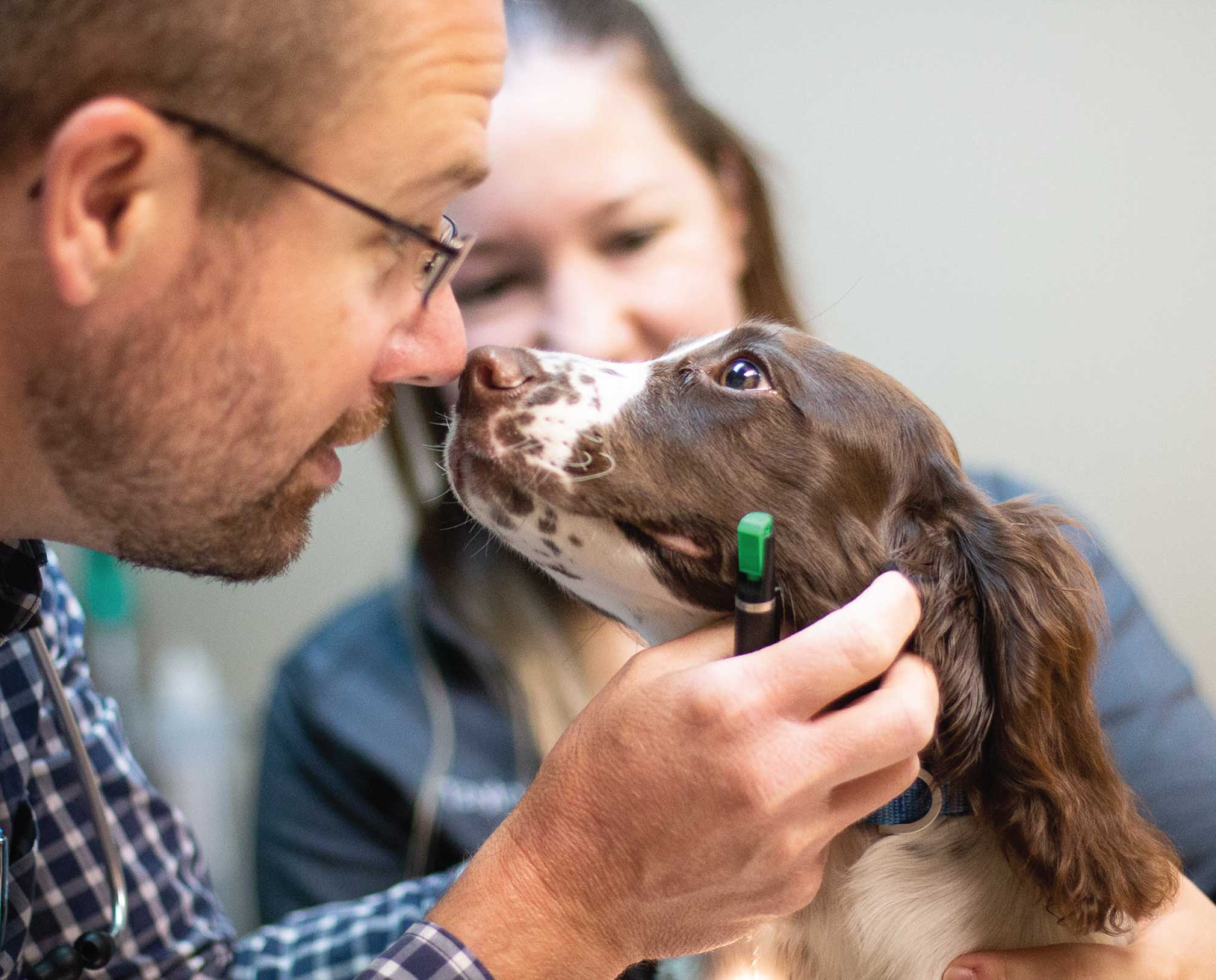 Dr. Joe Spoo - a Specialist in Sporting Dog Medicine