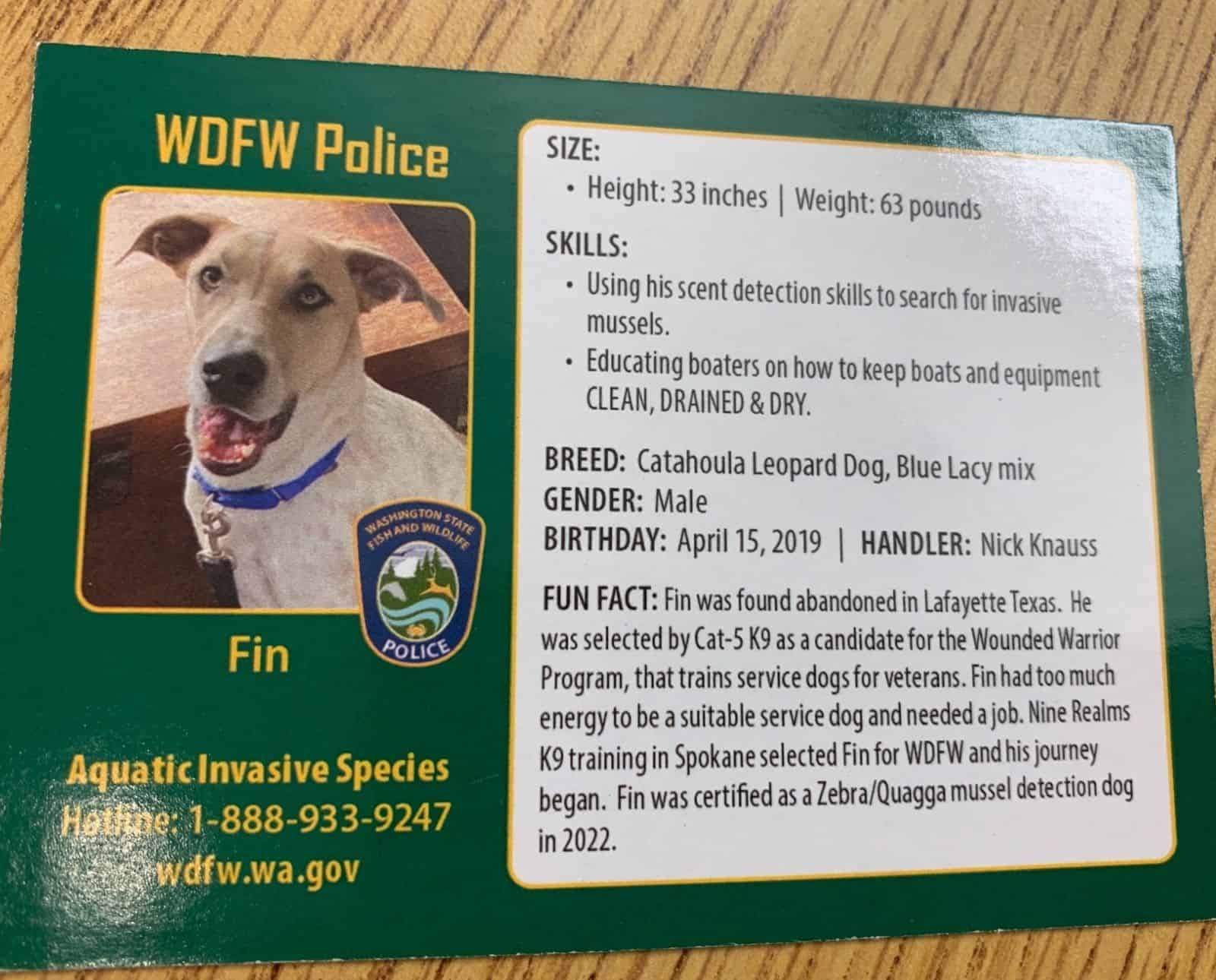 fin-mussel-detection-dog-WDFW-police-card - Project Upland
