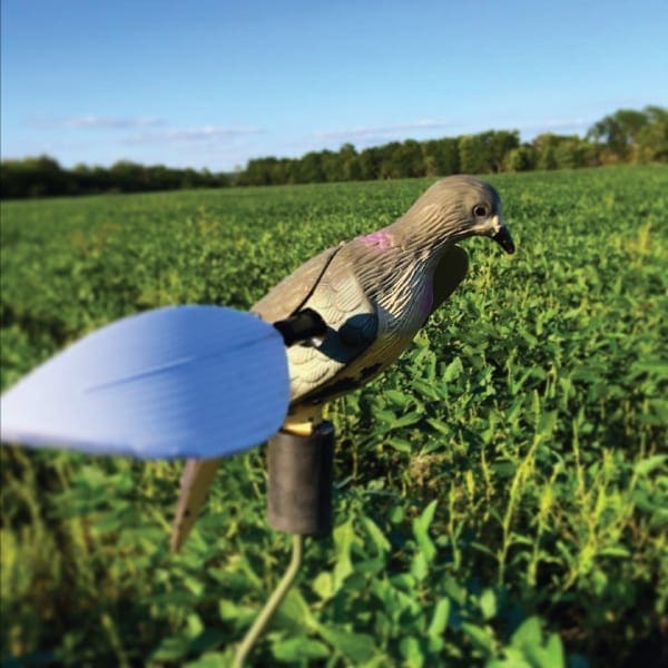 flying-dove-decoy - Project Upland
