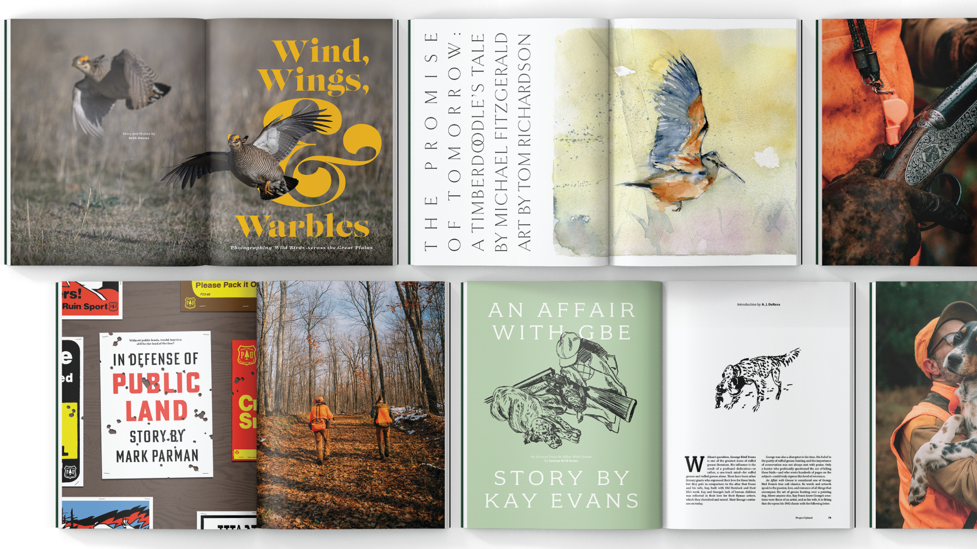 Project Upland – Wild Birds, Public Lands, Dogs, and Shotguns