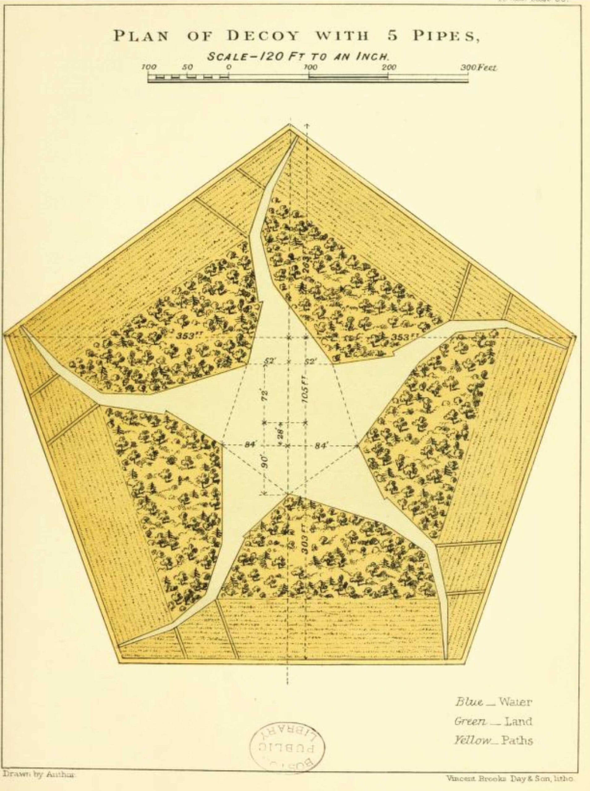 plan-of-decoy-with-5-pipes-scaled - Project Upland
