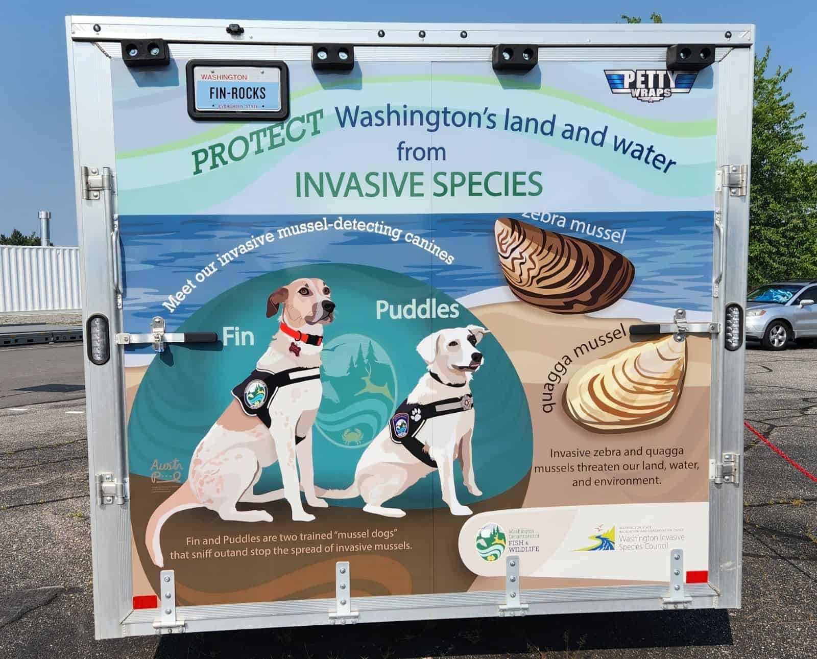 wdfw-invasive-species-education-trailer-with-mussel-detection-dogs ...
