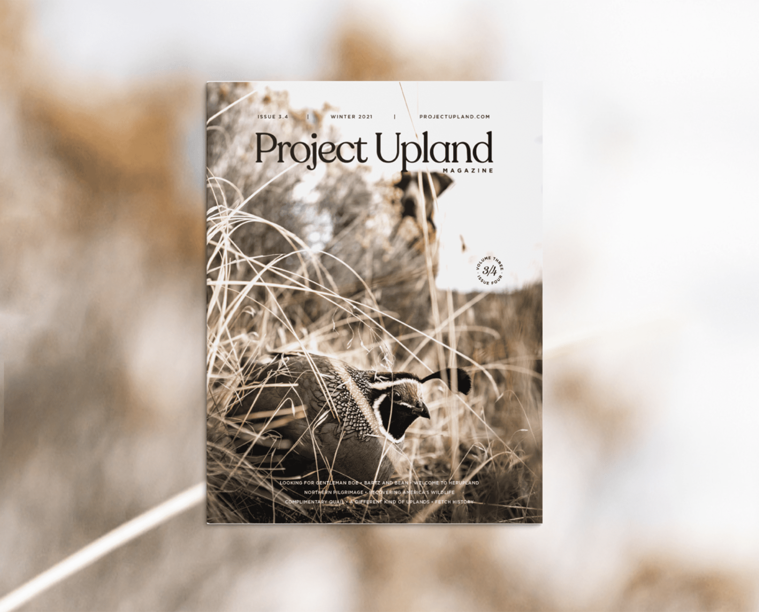 Preview of the Winter 2021 Issue of Project Upland Magazine