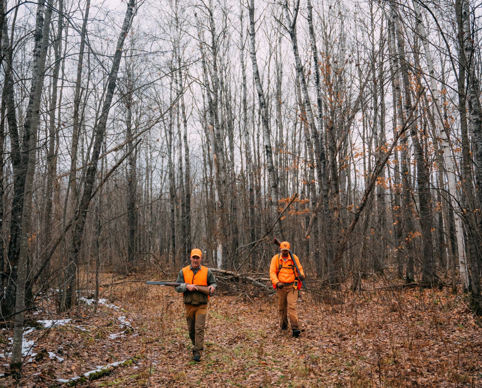 Upland Bird Hunting in Wisconsin for Grouse, Woodcock, and More ...