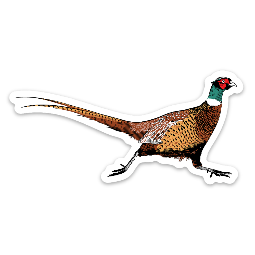Ringneck Pheasant Stickers - Weatherproof Vinyl