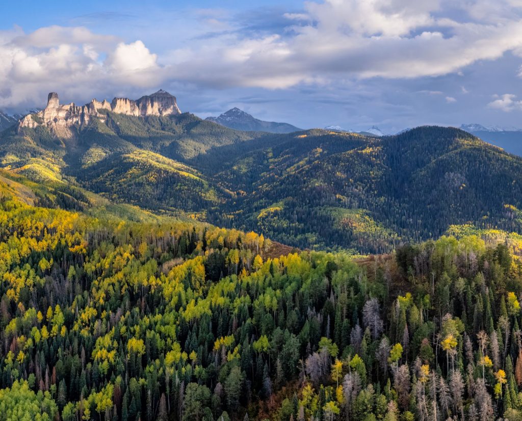 dusky-grouse-habitat-colorado-ridgetops - Project Upland