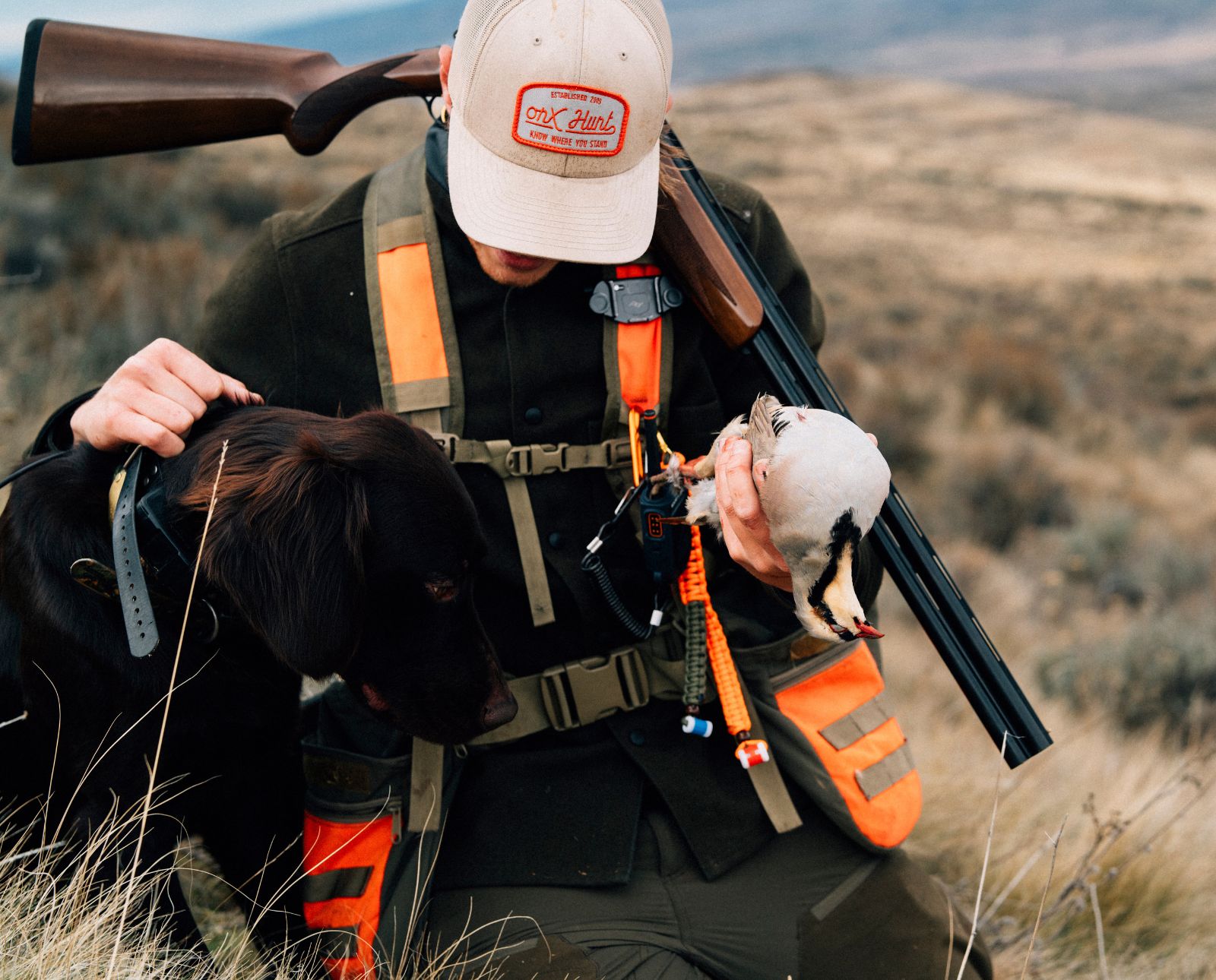 Avoiding Common Chukar Hunting Mistakes - Project Upland